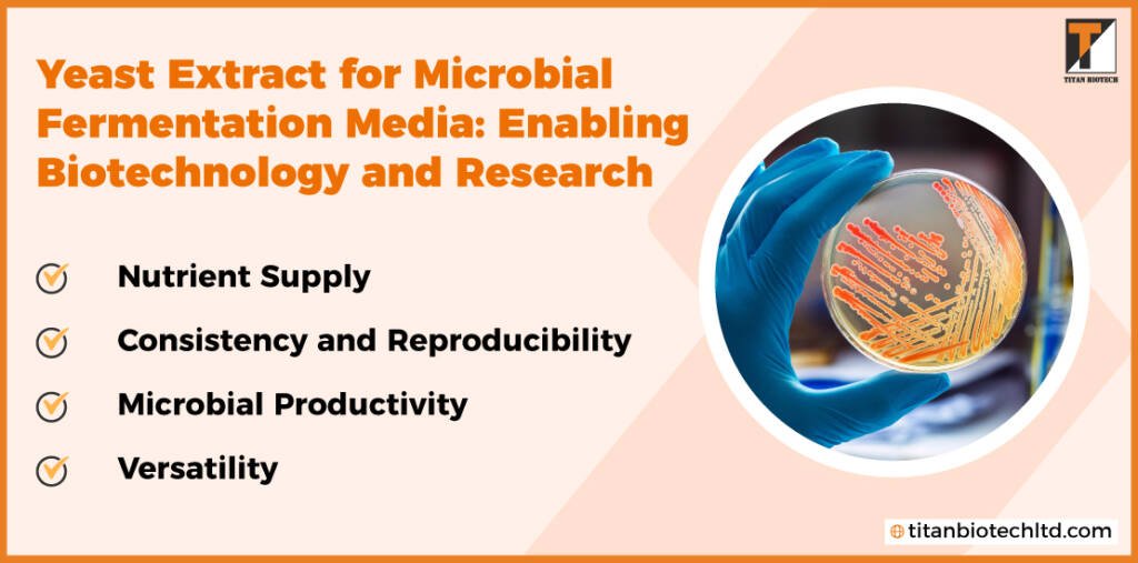 Yeast Extract Powder For Skin, Food and Animal Ingredients