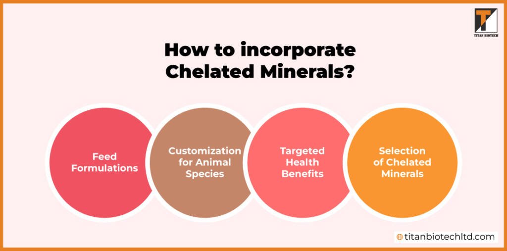 Role of Chelated Minerals in Animal Nutrition | Titan Biotech Ltd.