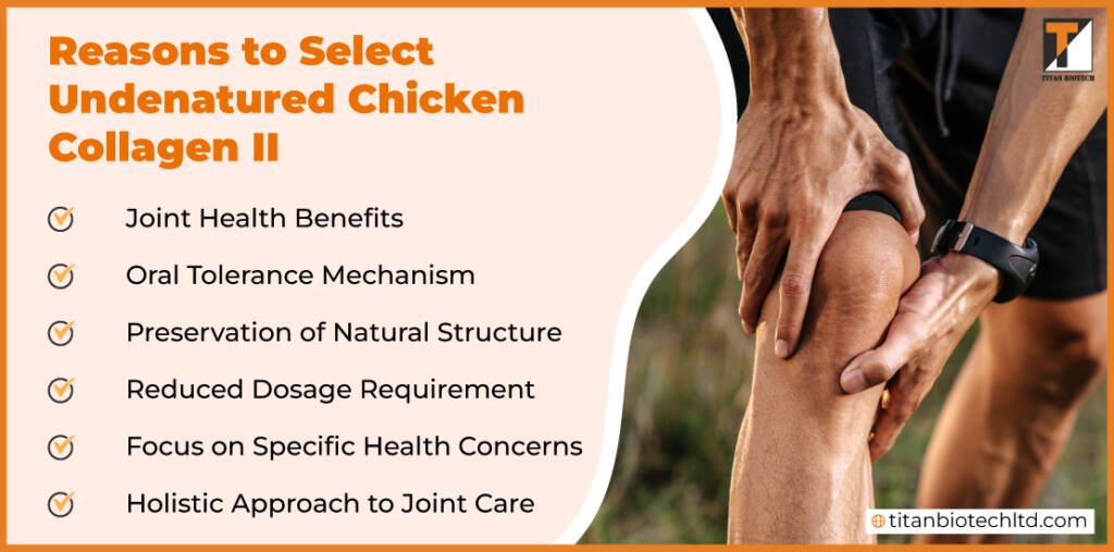 Undenatured Chicken Collagen Type II: Mode of Action and Benefits ...