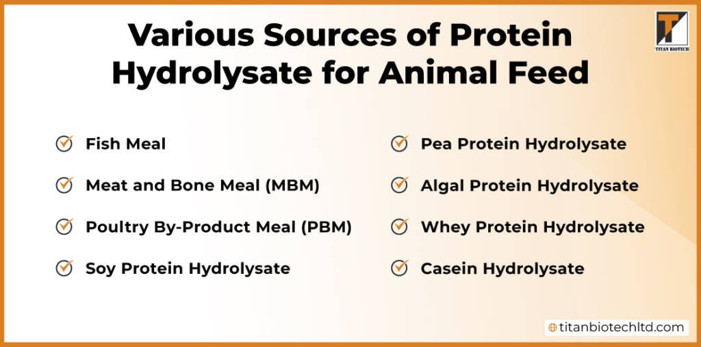 Unveiling the Power of Protein Hydrolysate in Animal Feed | Titan ...